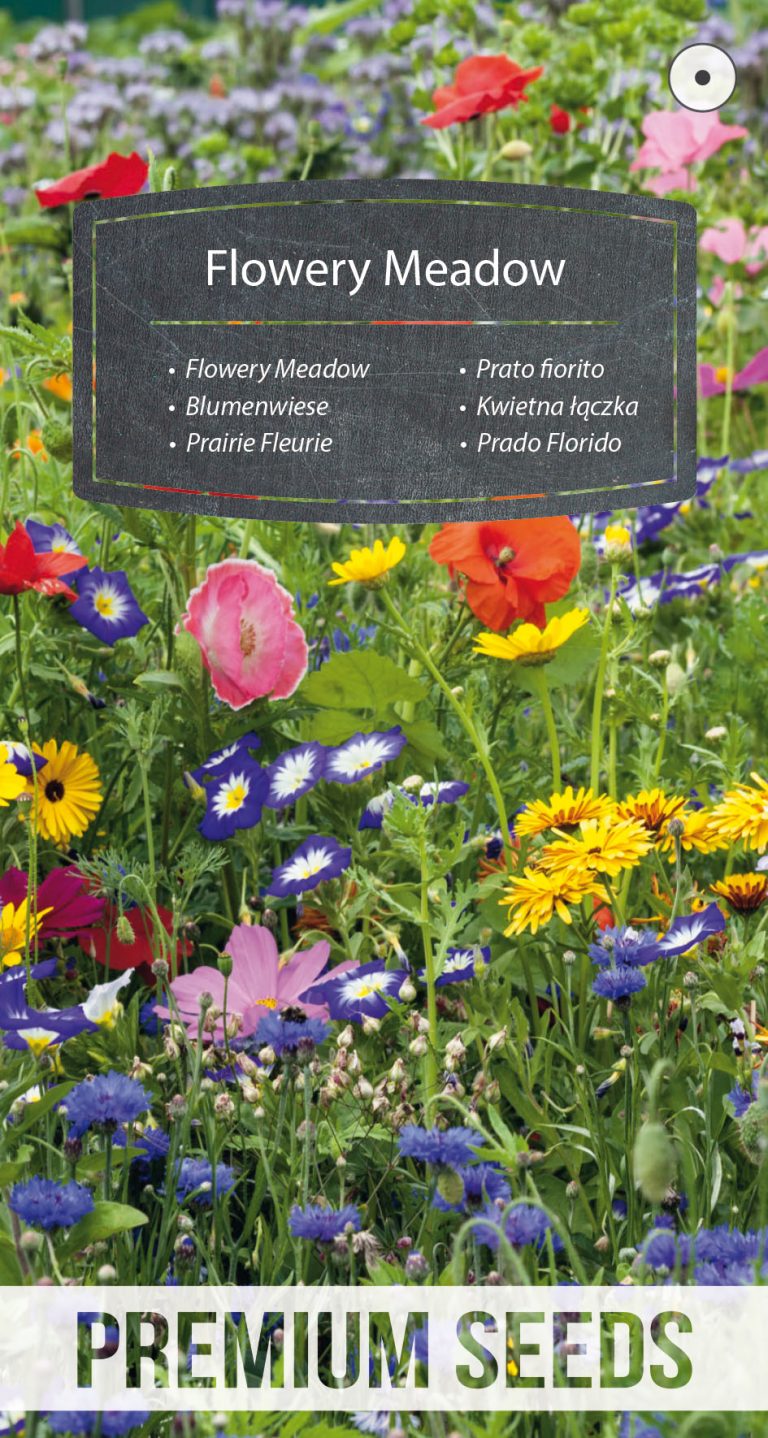 Flowery Meadow - a seed mix of over 40 species - PremiumSeeds – producer of seeds