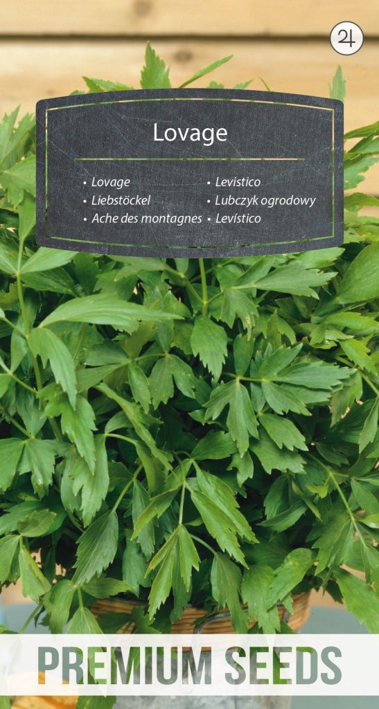 Lovage - PremiumSeeds – producer of seeds