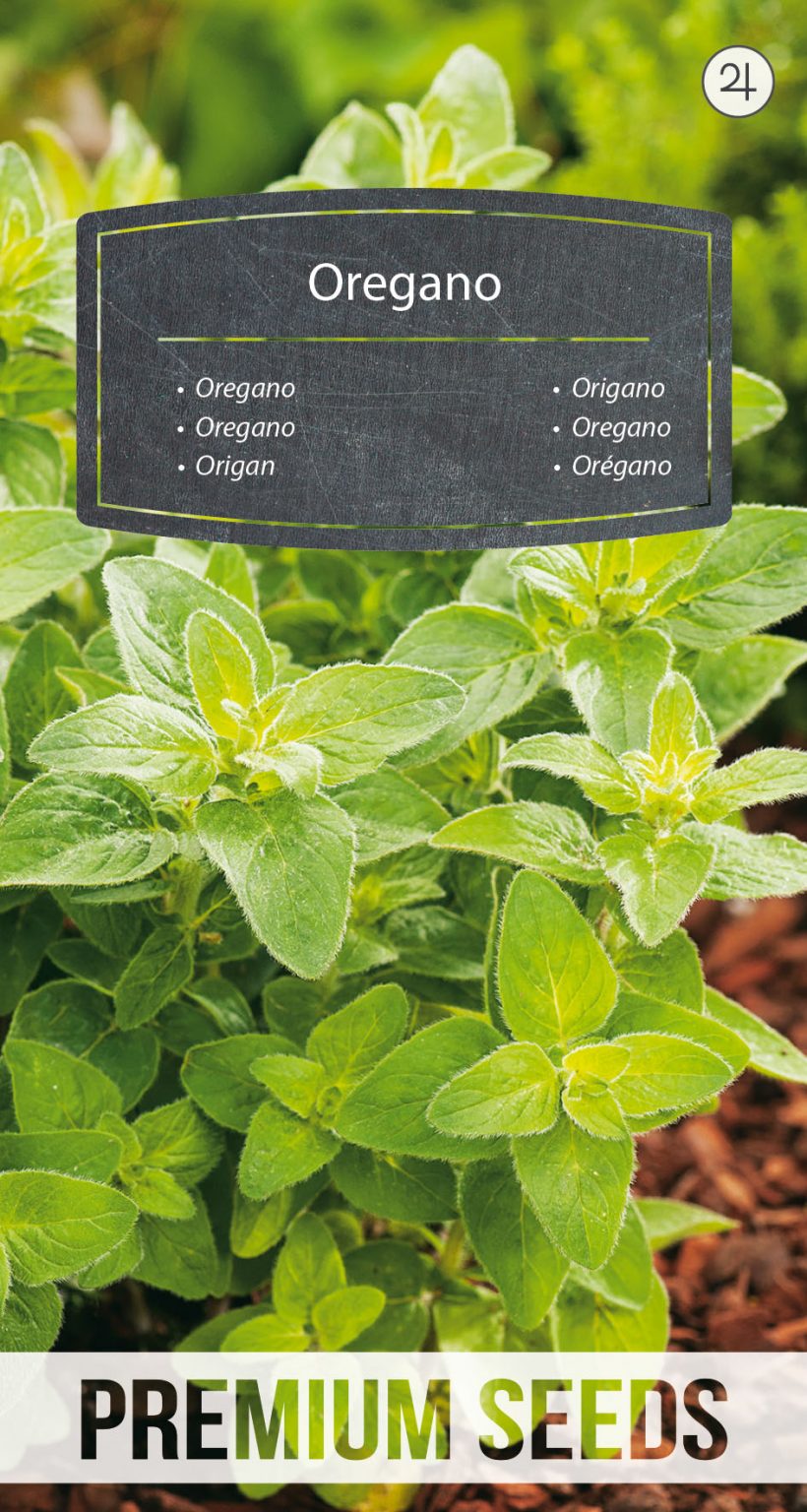 Oregano - PremiumSeeds – producer of seeds