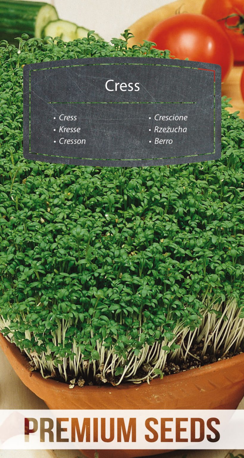 Cress - PremiumSeeds – producer of seeds
