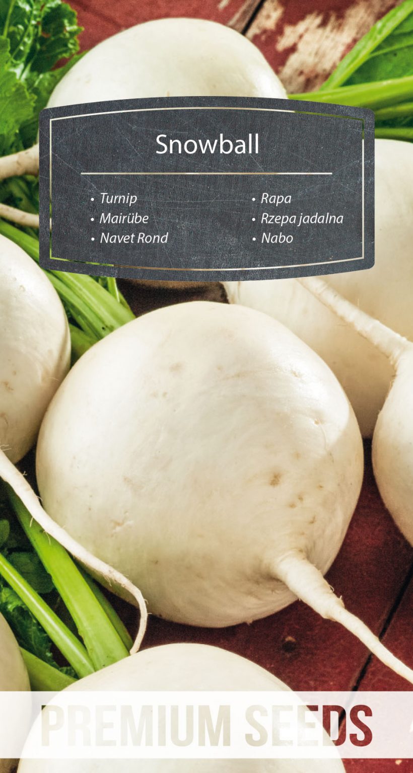 Turnip Snowball - PremiumSeeds – producer of seeds