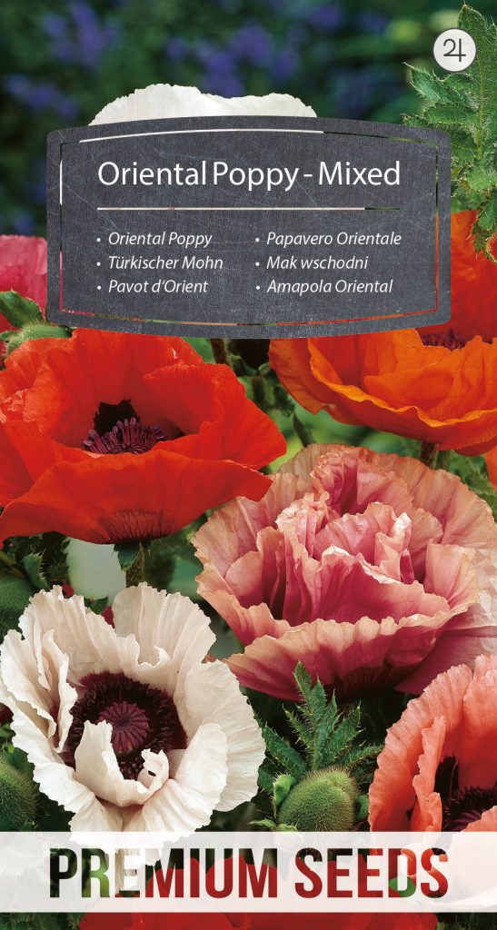 Oriental Poppy - Mixed - PremiumSeeds – producer of seeds