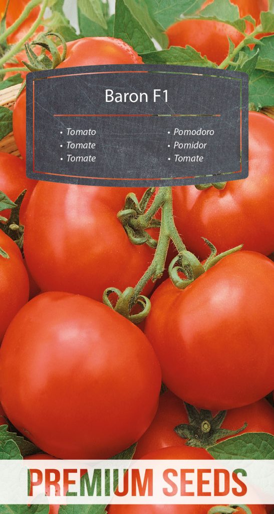 Tomato Baron F1 - PremiumSeeds – producer of seeds
