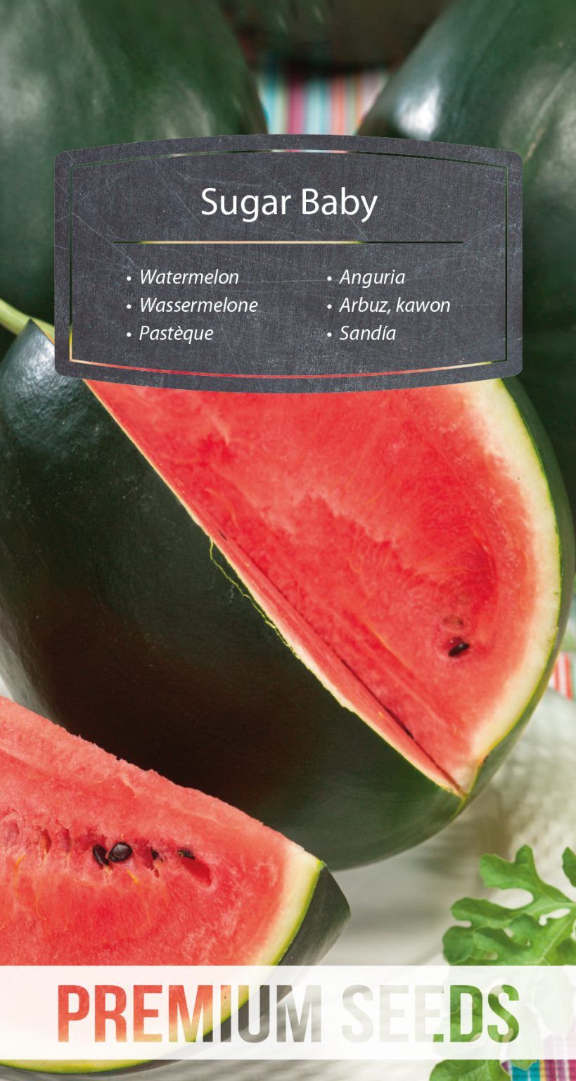 Watermelon Sugar Baby - PremiumSeeds – producer of seeds