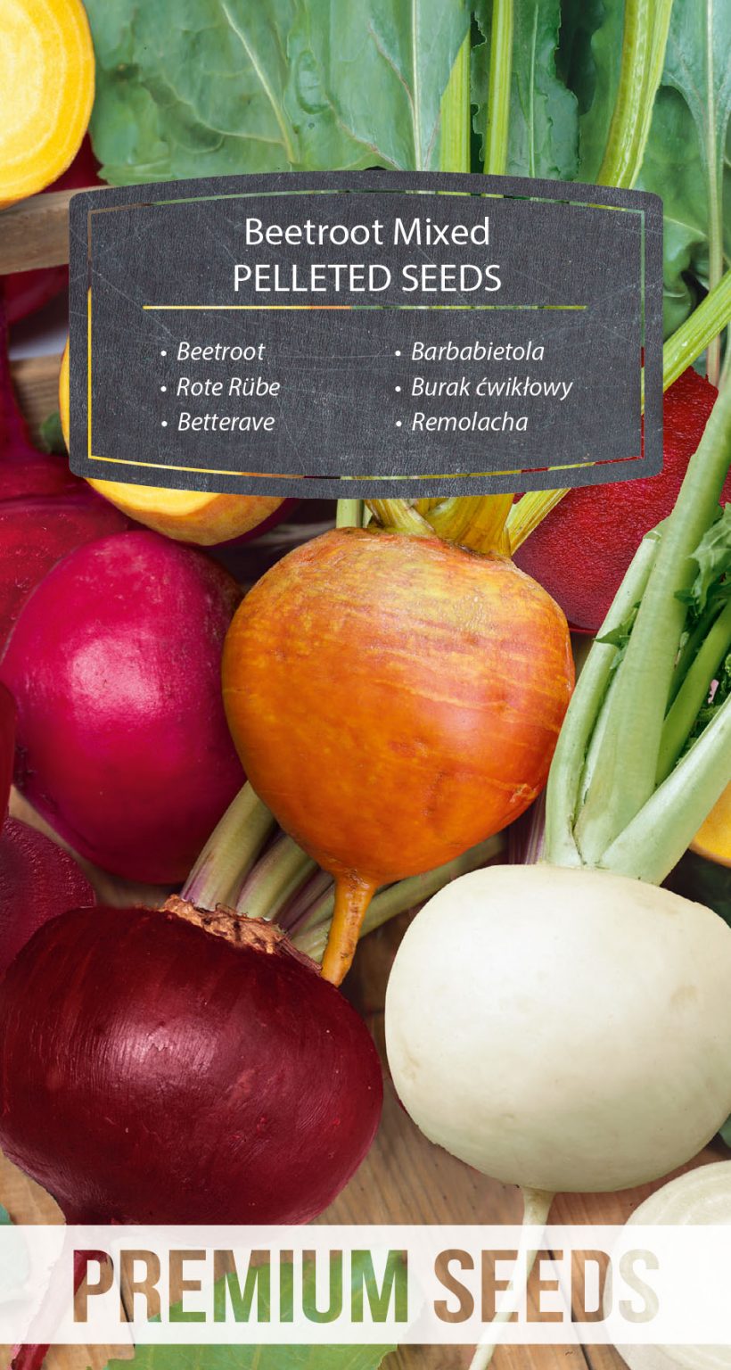 Beetroot - mix of colorful varieties - PELLETED SEEDS - PremiumSeeds ...