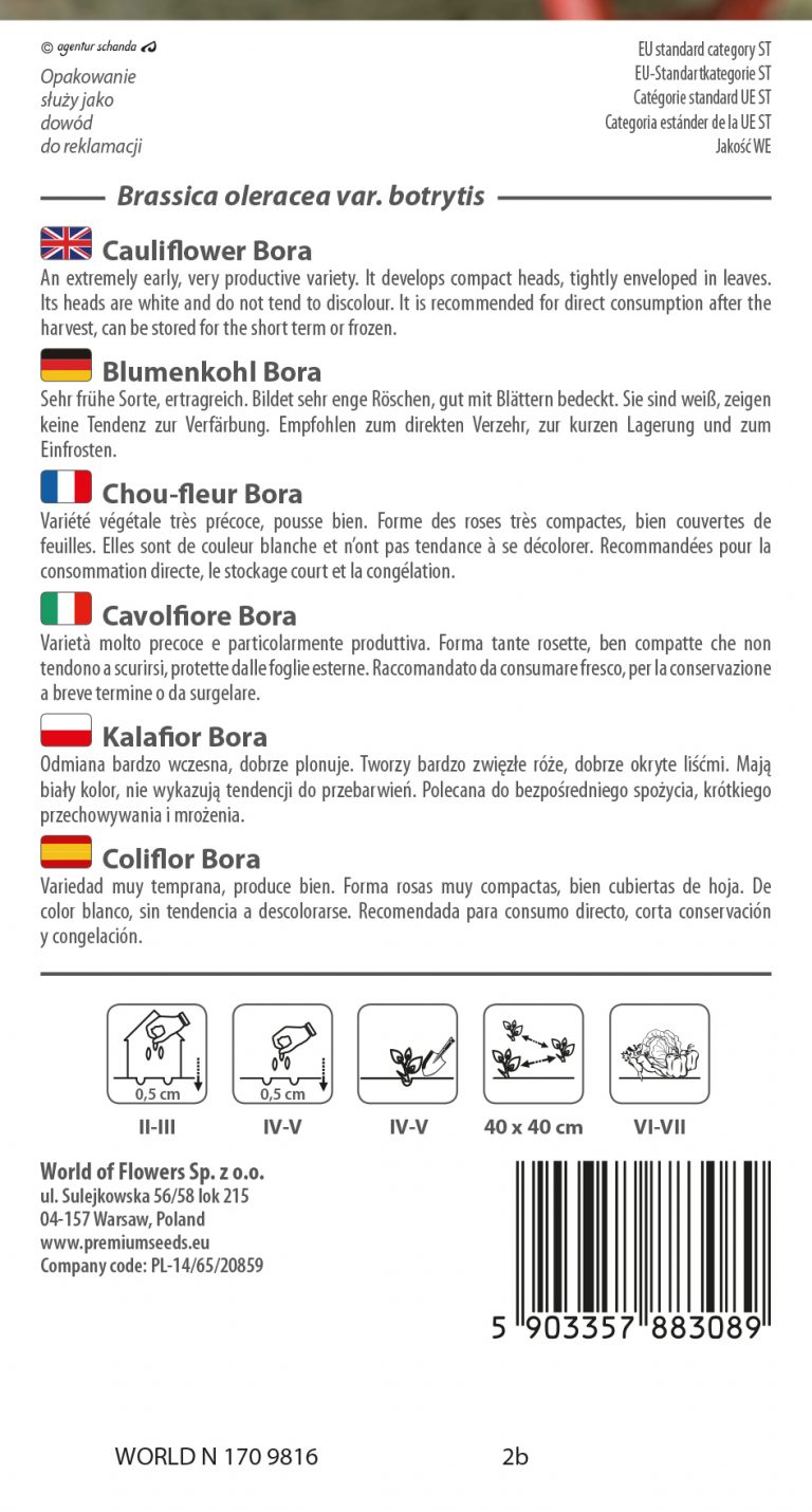 Blumenkohl Bora - Produzent von Samen – PremiumSeeds