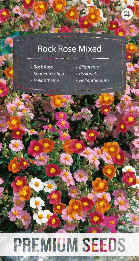 Rock Rose Mixed - PremiumSeeds – producer of seeds