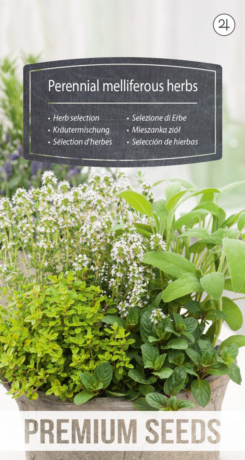 Herb selection - Perennial melliferous herbs - PremiumSeeds – producer of seeds