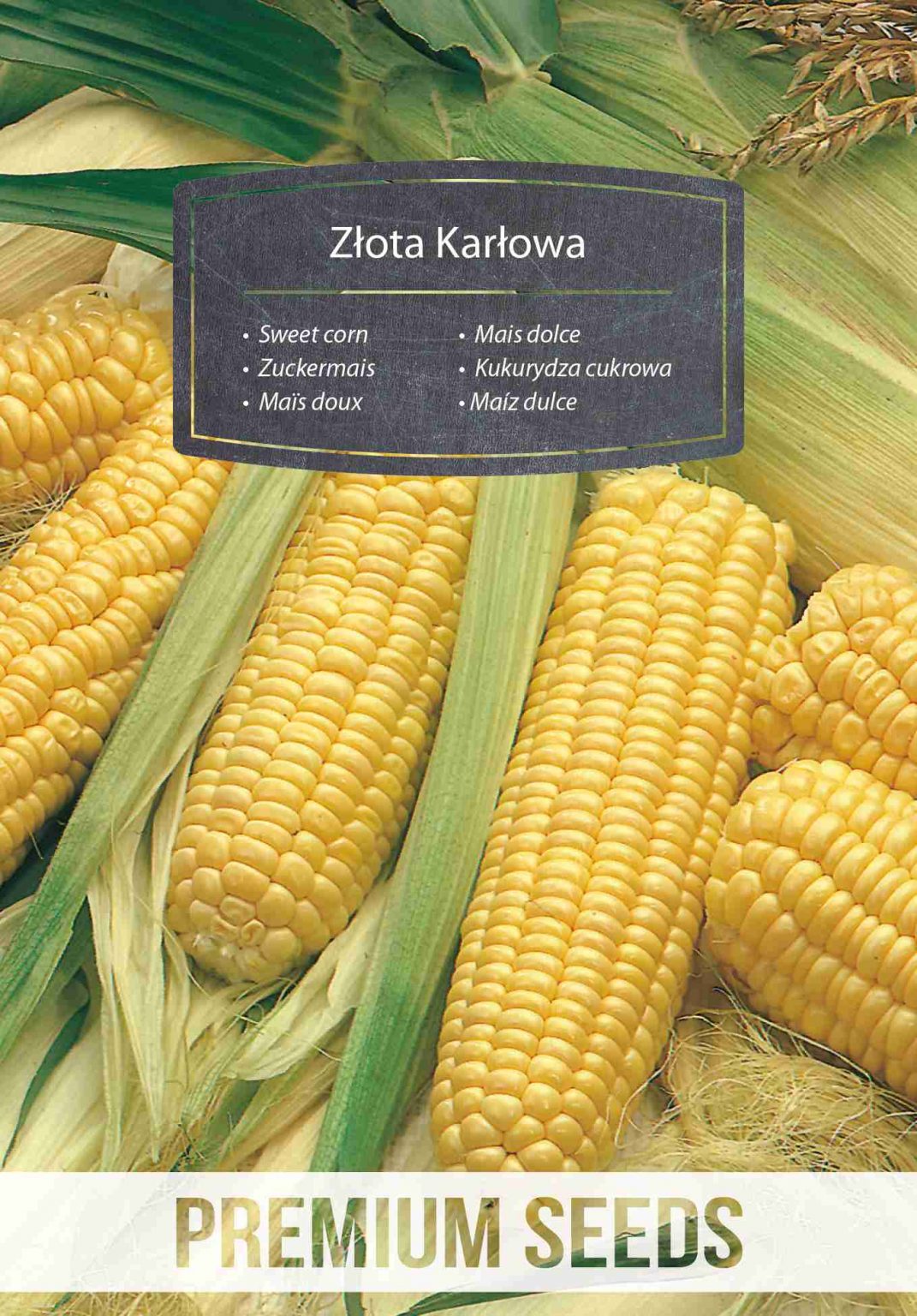 Sweet corn GOLDEN DWARF ('Złota Karłowa') - PremiumSeeds – producer of ...